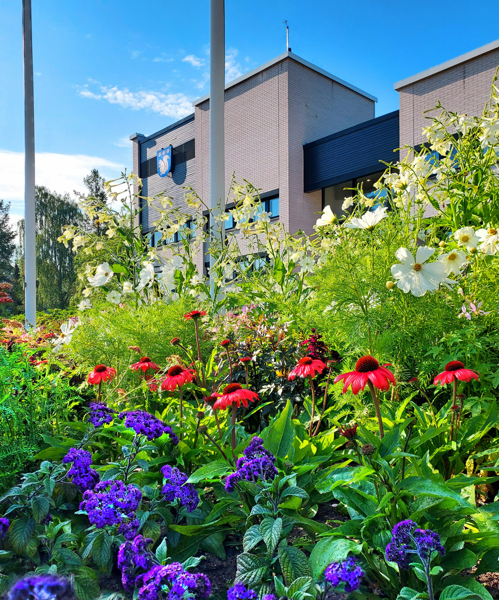 Kaupungin palvelut ja aukioloajat kesällä - Kauniainen