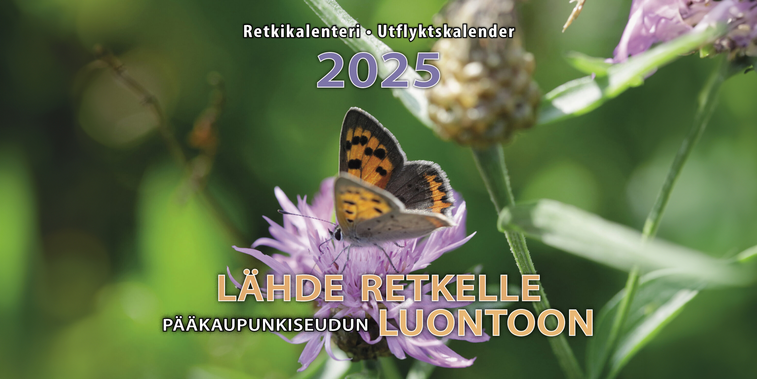 Tervetuloa Kauniaisten luontoretkille! - Kauniainen